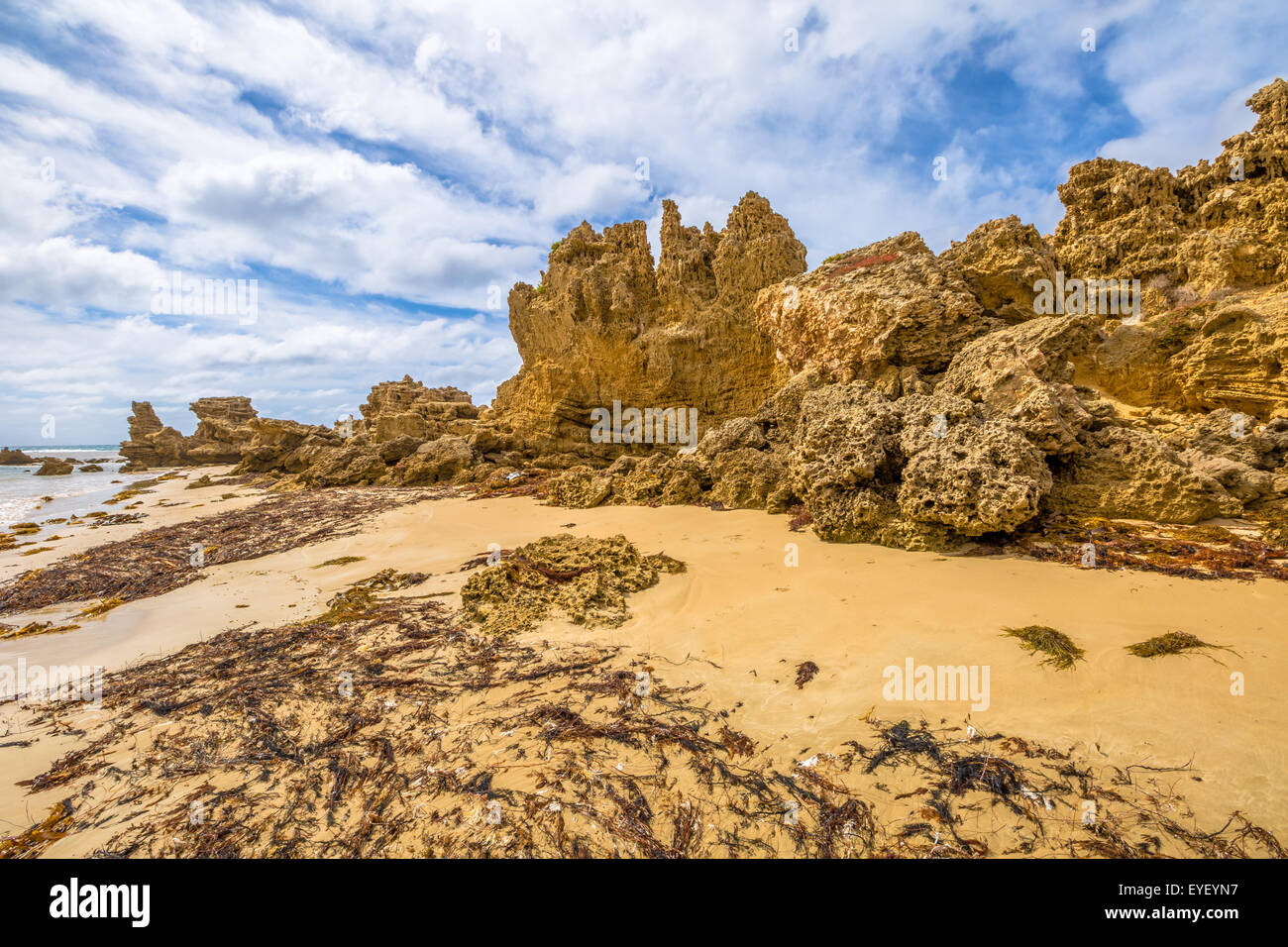Anglesea australia hi-res stock photography and images - Alamy