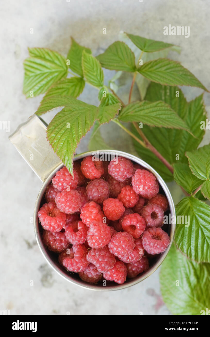 Fresh raspberry in the metal cup Stock Photo - Alamy