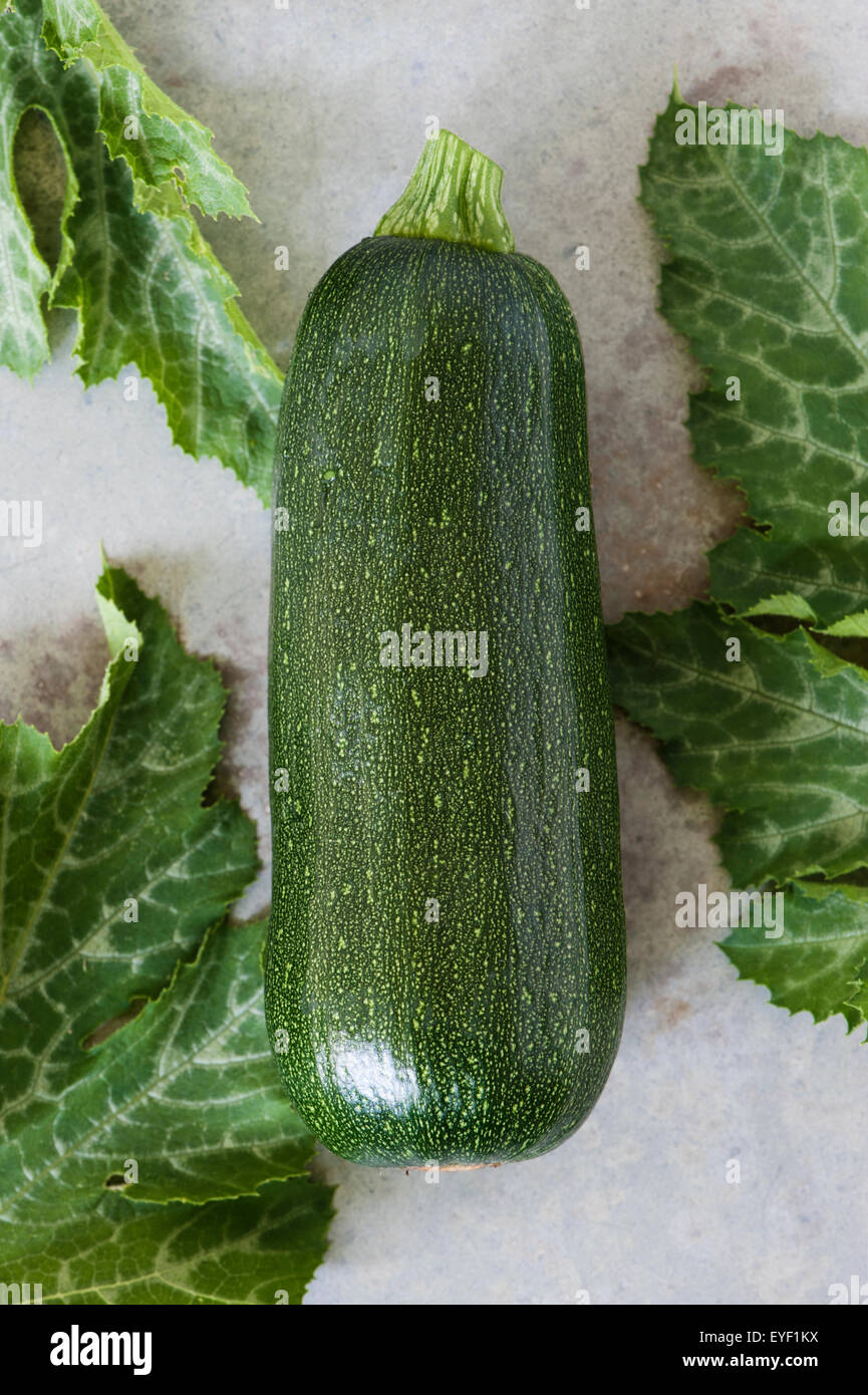 Green squash hi-res stock photography and images - Alamy