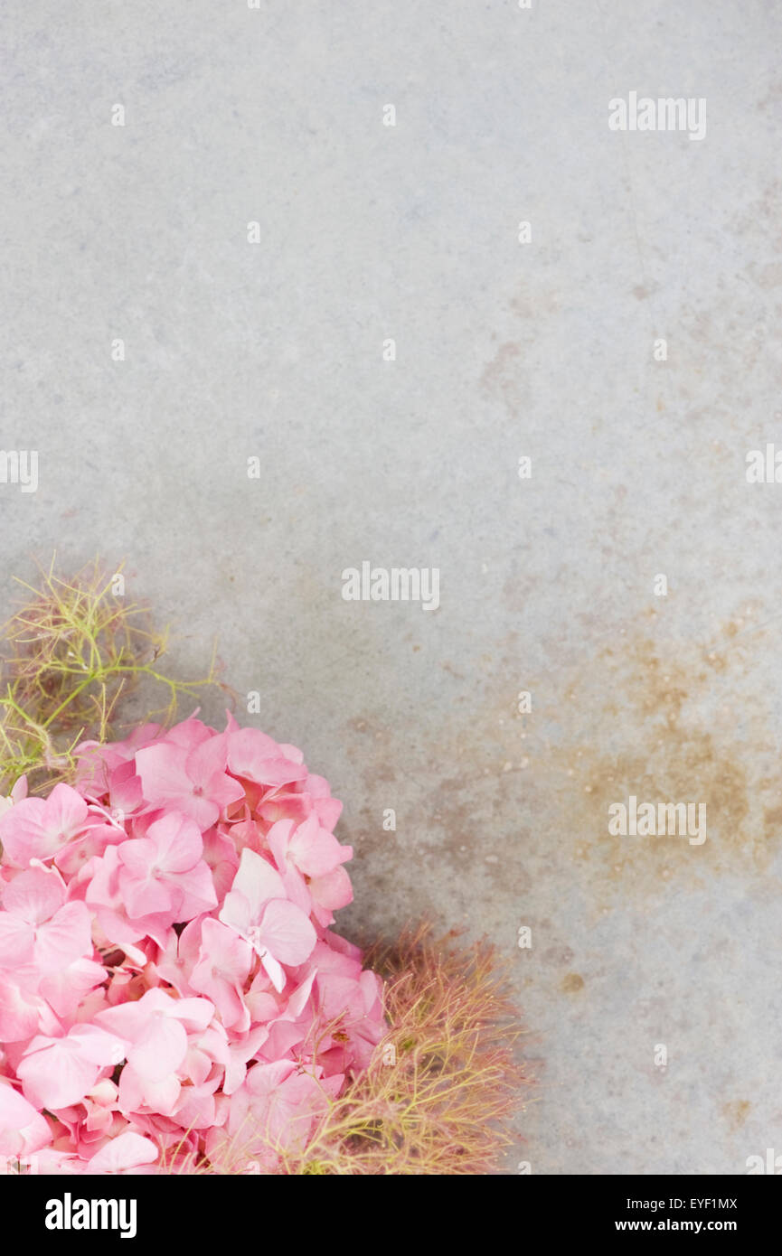 Pink hydrangea and sumac on the old table in soft focus Stock Photo - Alamy