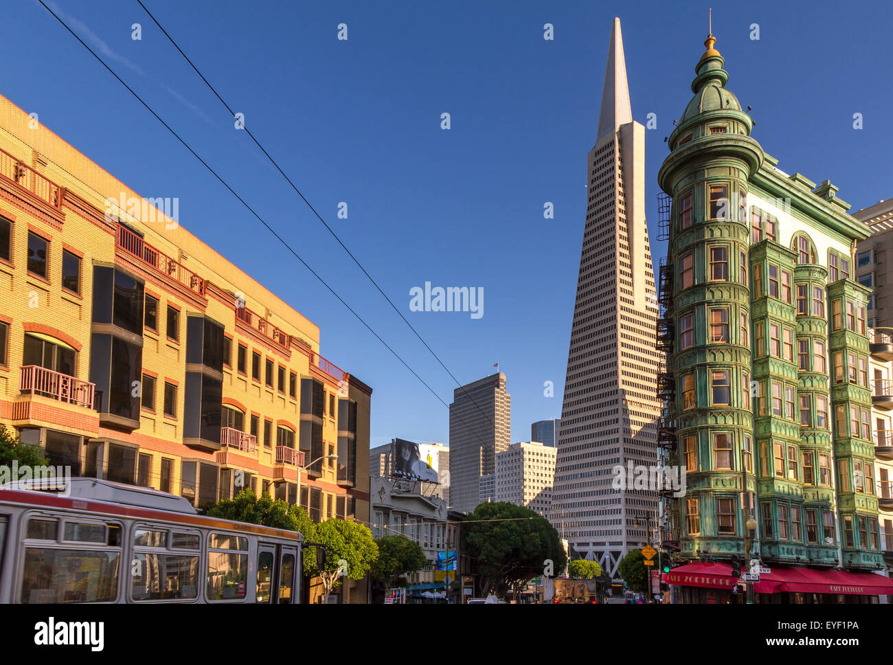 The Tranamerica Pyramid And The Copper Green Sentinel Building dominate ...