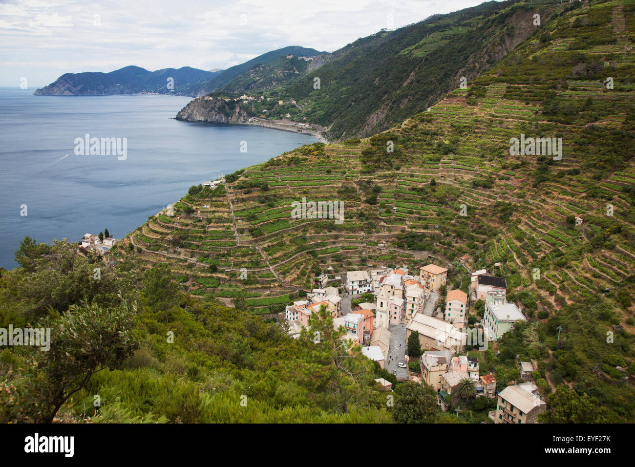 A view of Manarola from above; Manarola, Liguria, Italy Stock Photo - Alamy
