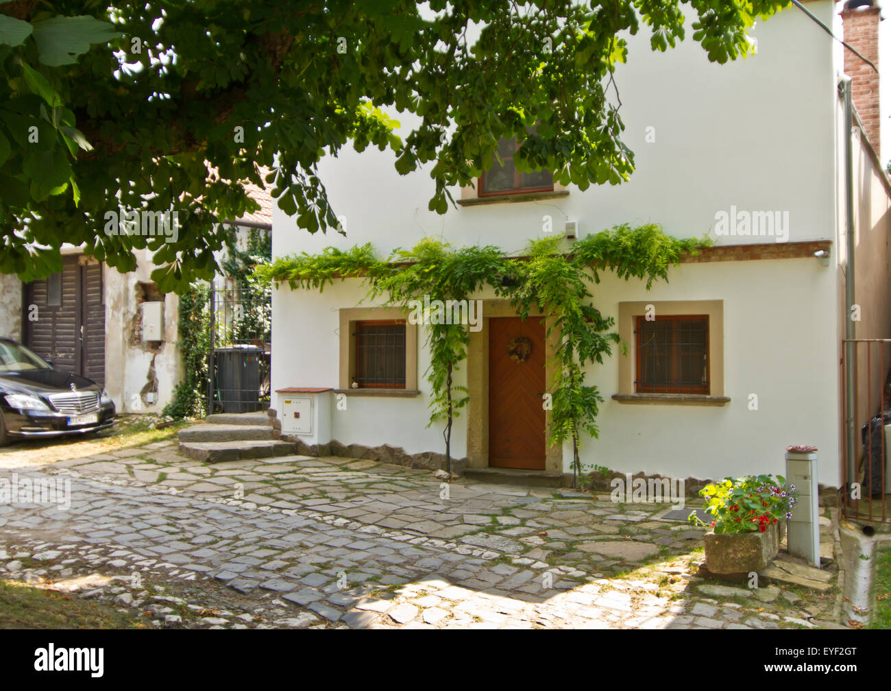 Traditional Czech vine cellar Stock Photo - Alamy