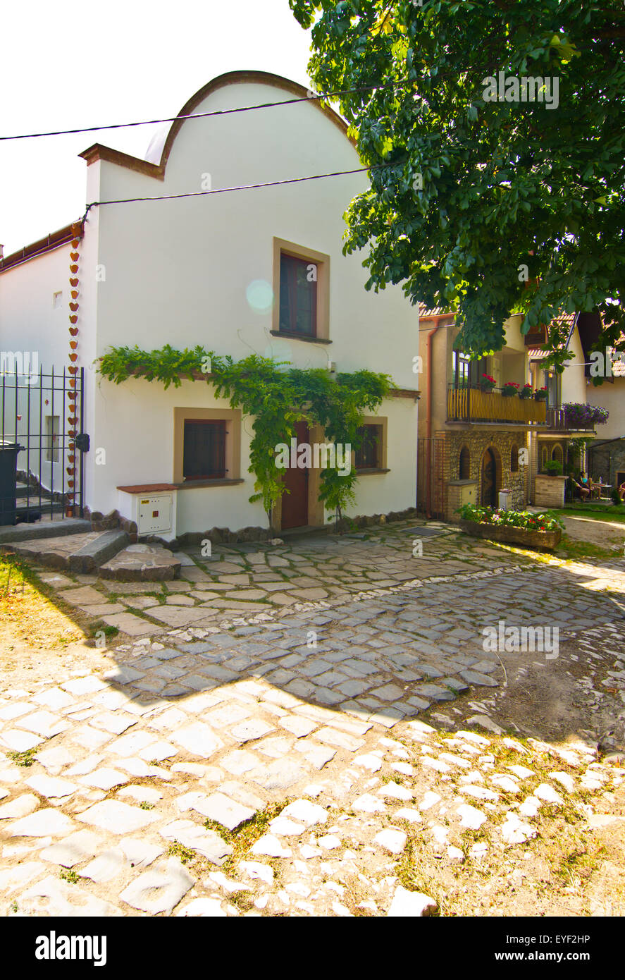 Traditional Czech vine cellar Stock Photo - Alamy