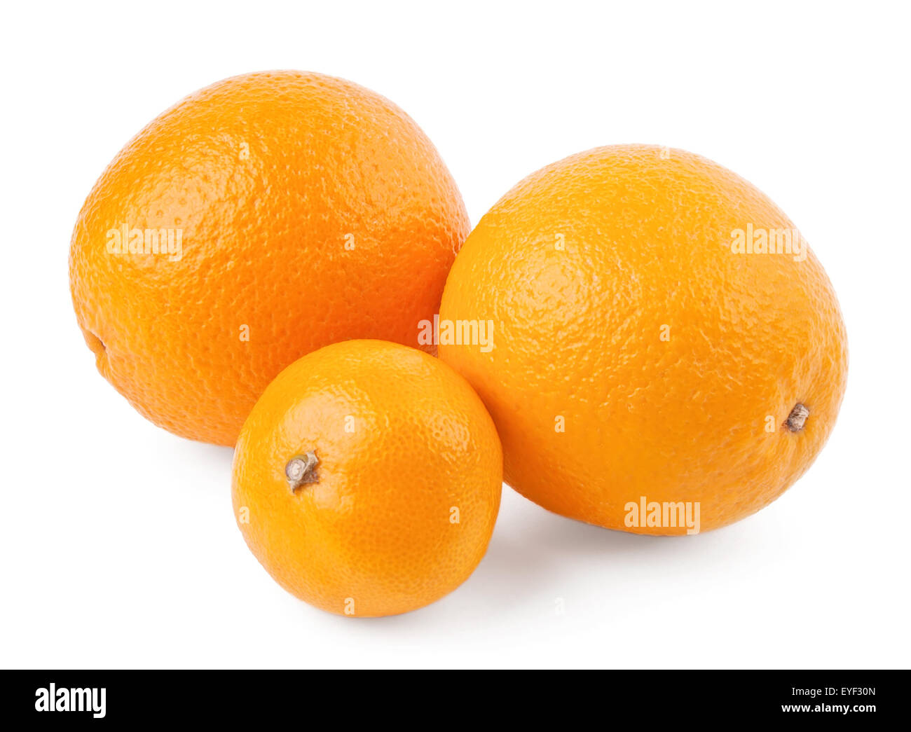 Two oranges and mandarin isolated on white background Stock Photo - Alamy