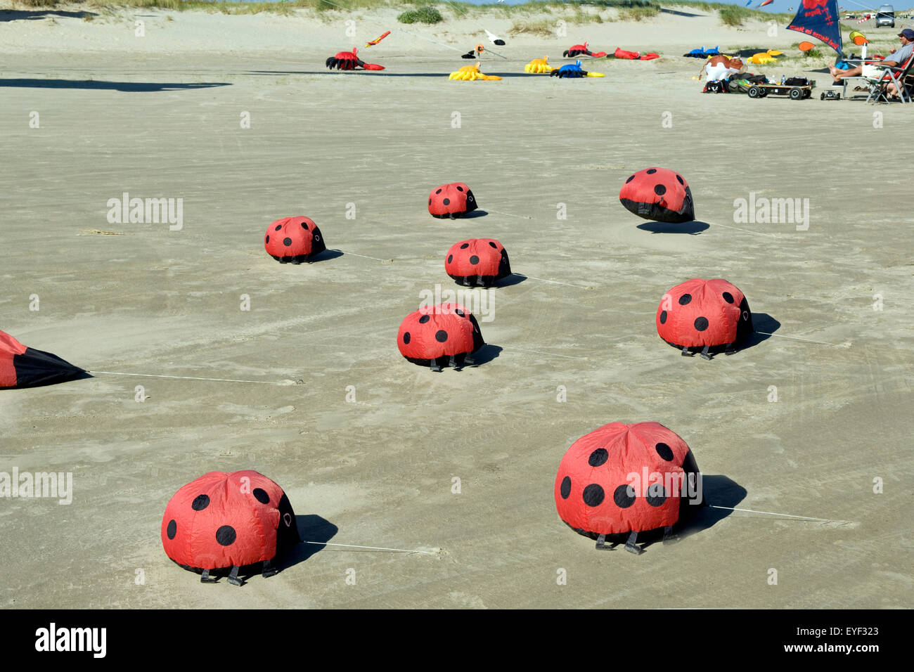 Bodenwindspiele, Marienkaefer, ladybug Stock Photo - Alamy