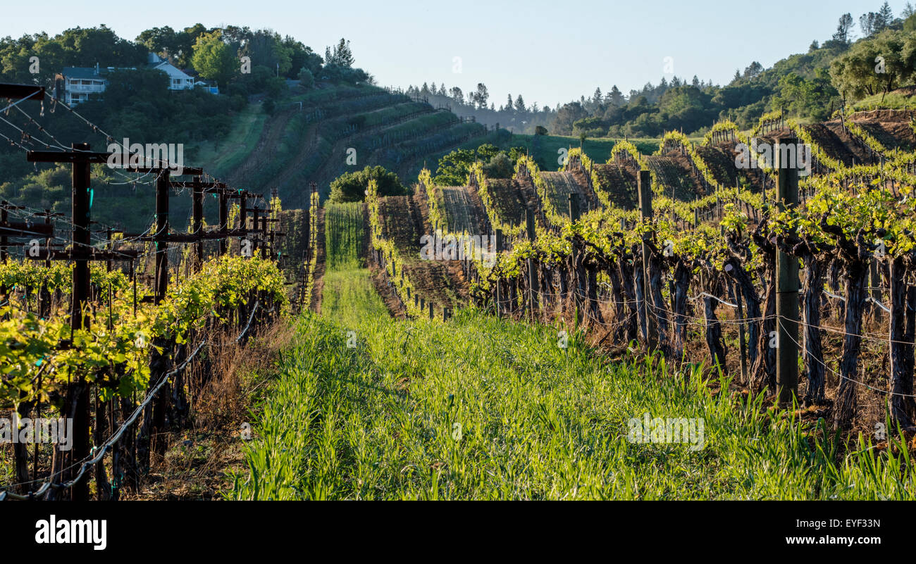 Curving rows hi-res stock photography and images - Alamy