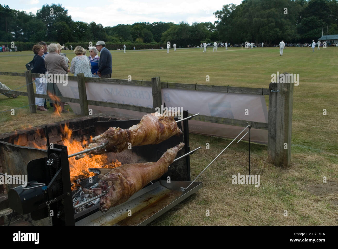 Lamb roast. Village Cricket roasting two split lambs sheep on a BBQ ...