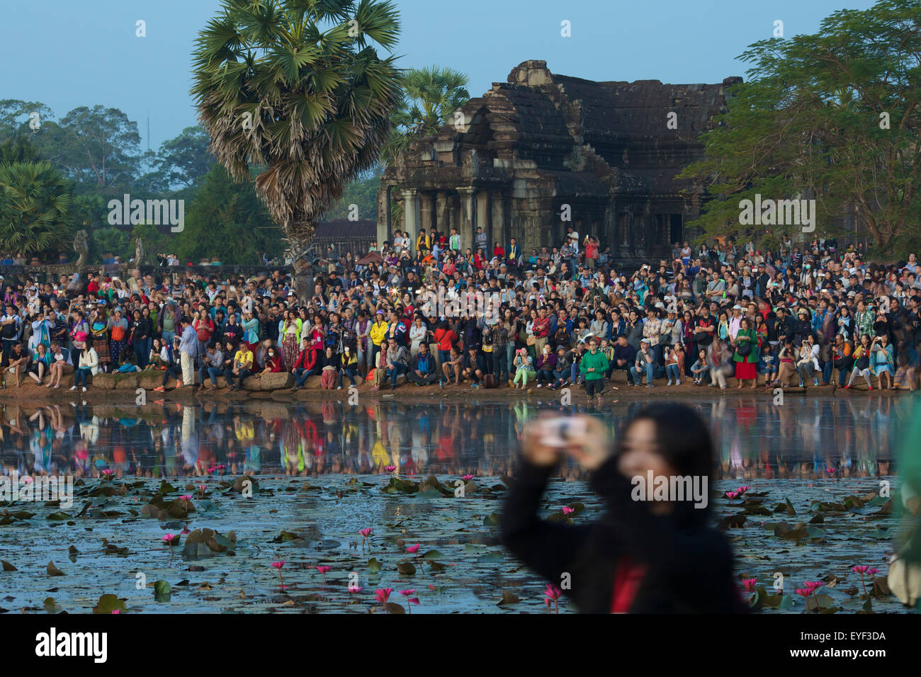 Crowd of tourists watching the last sunset of 2014 at Angkor Wat; Siem ...