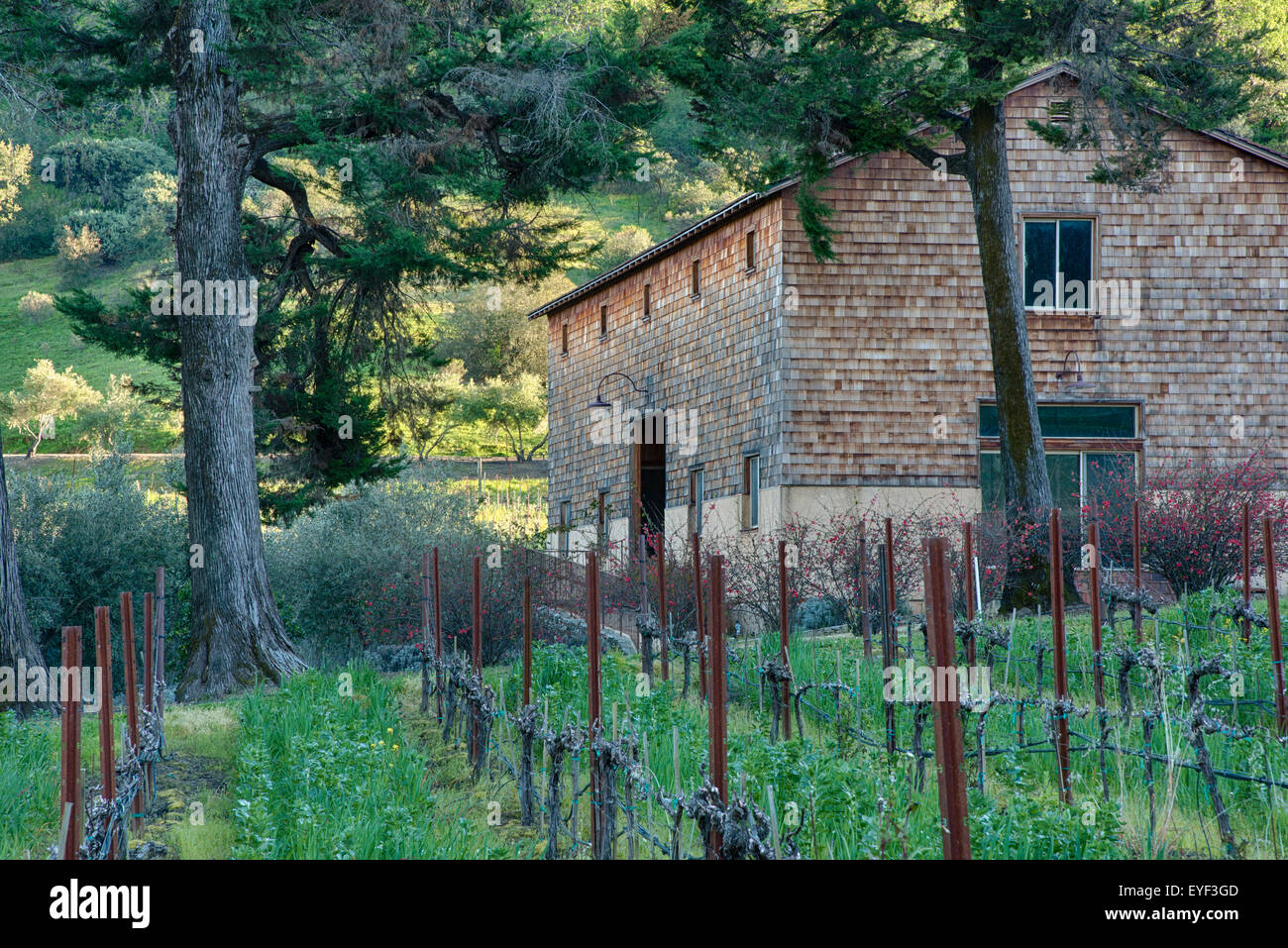 An old winery building at a California Vineyard Stock Photo - Alamy