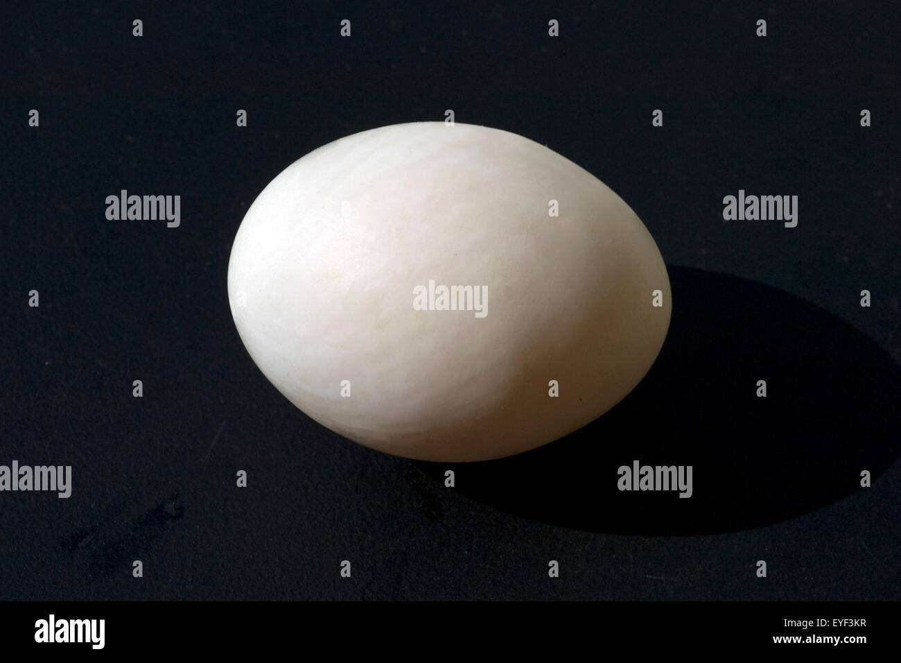 Entenei, Ei; Enteneier Stock Photo - Alamy