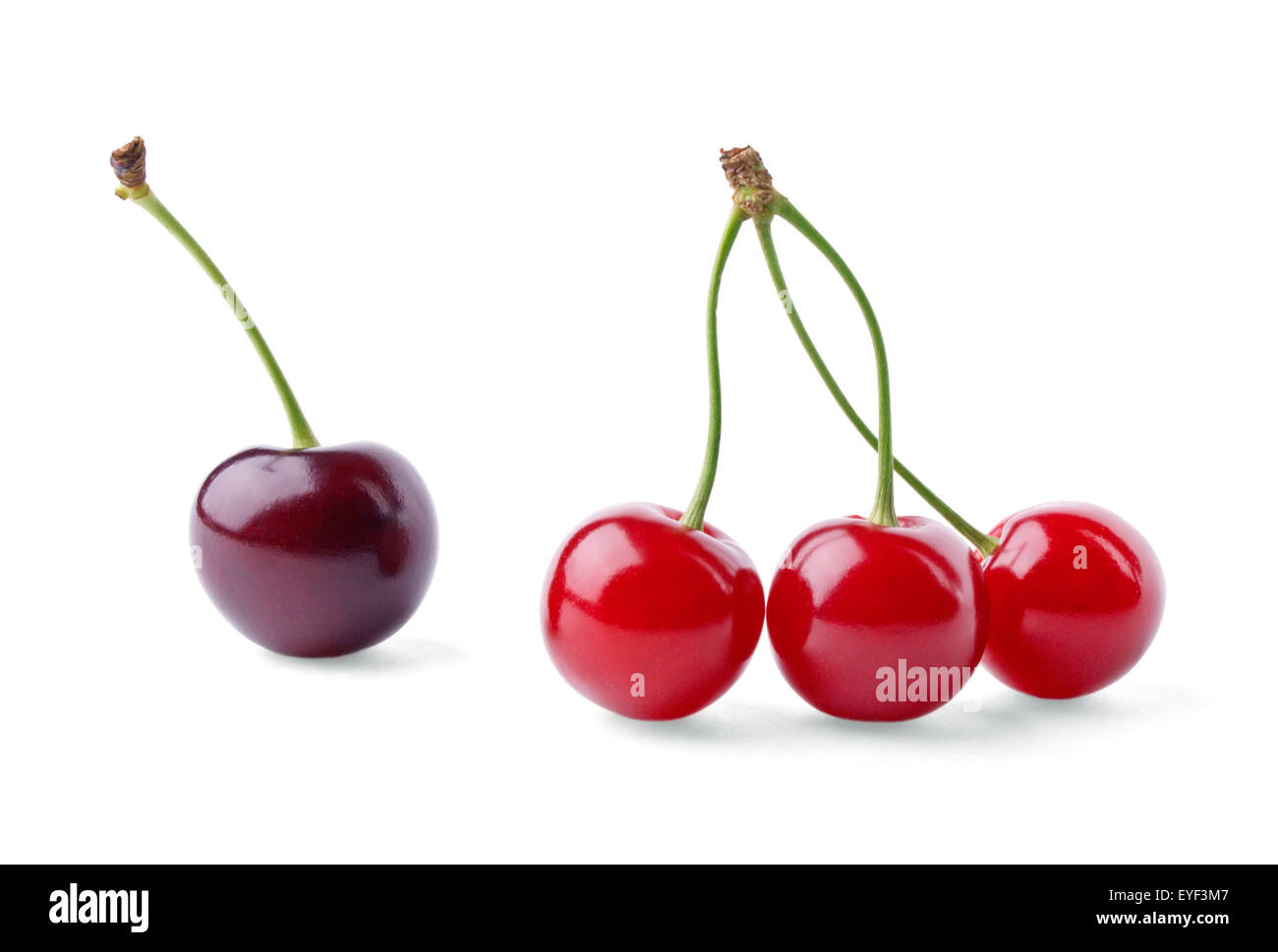 One cherry and three cherries on white background Stock Photo - Alamy