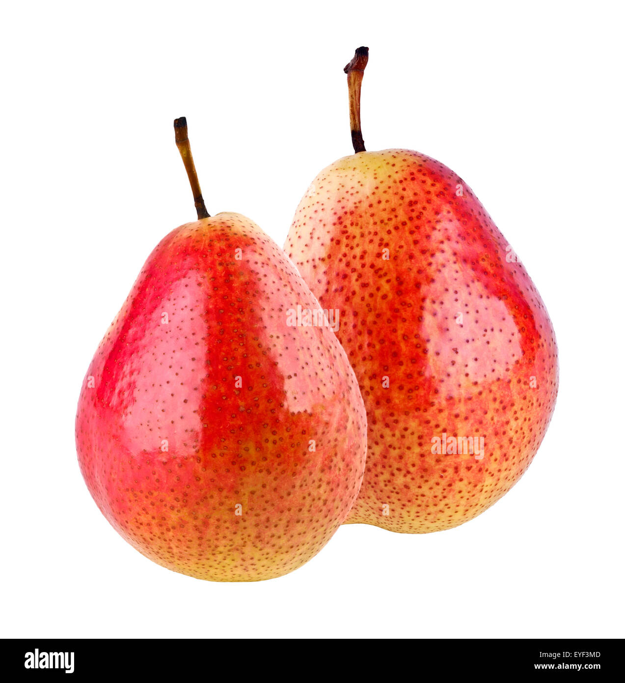 Two red pears on white background Stock Photo - Alamy