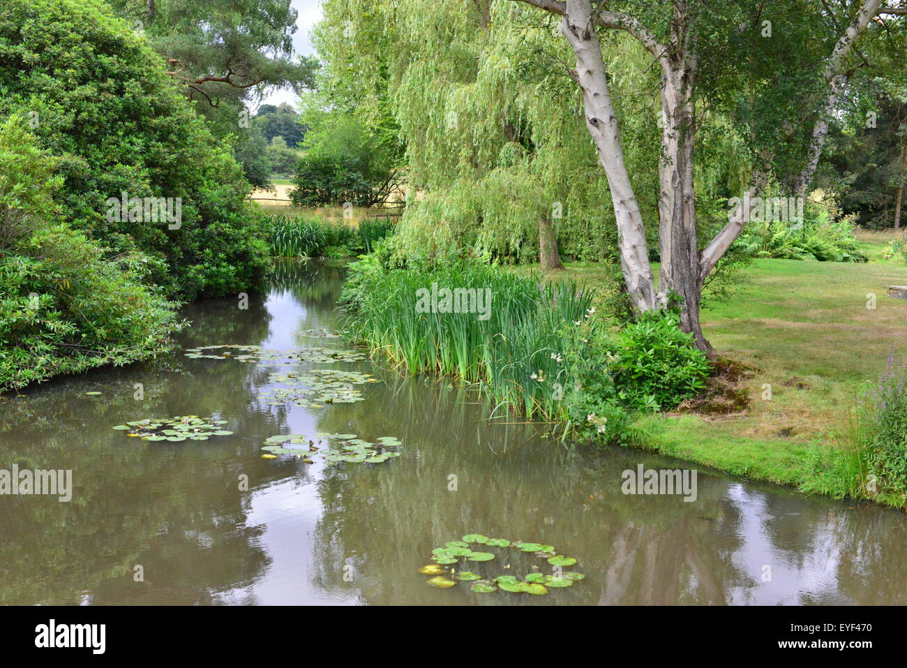 A large pond at Scotney castle in kent, England Stock Photo - Alamy