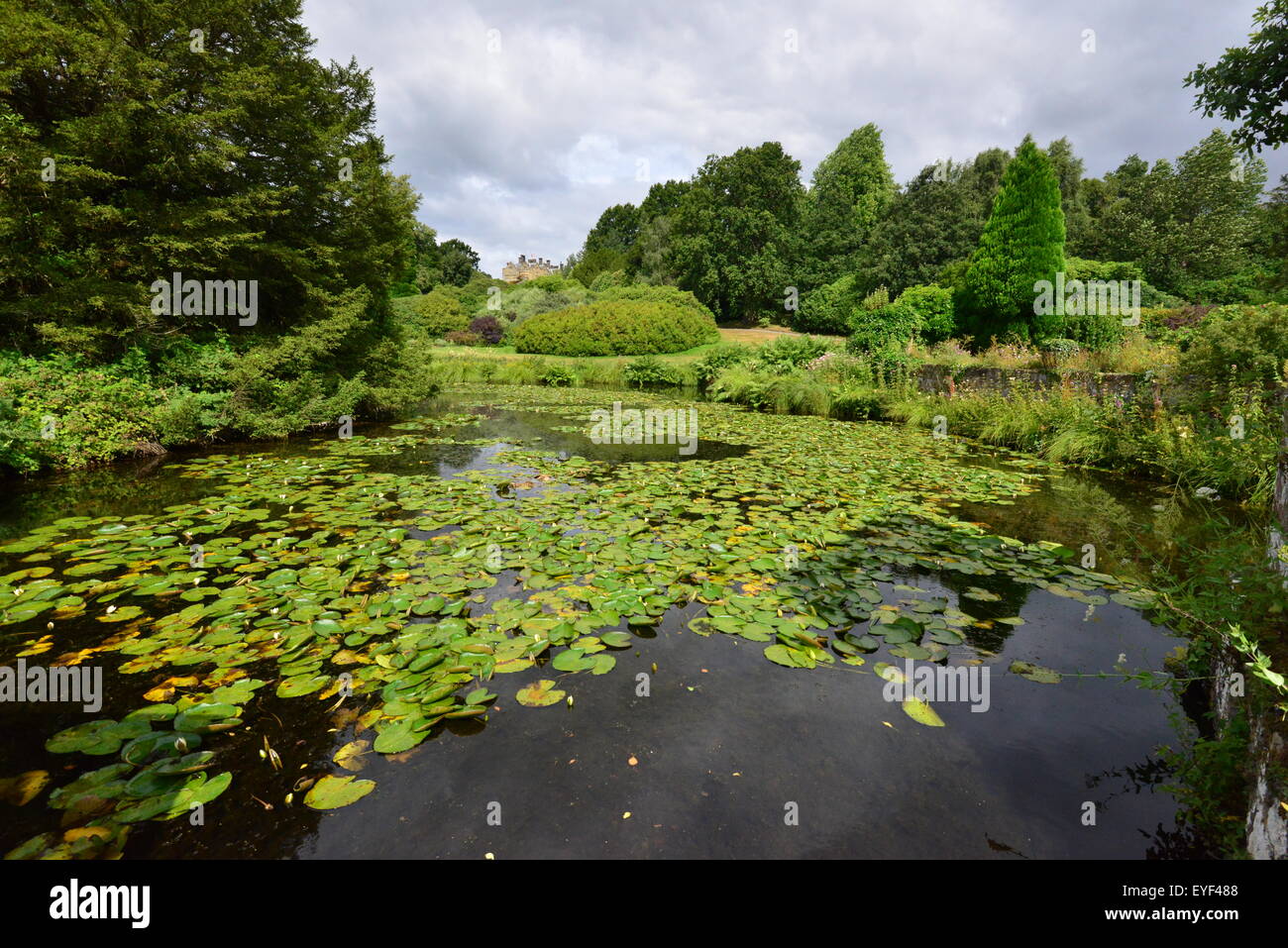 Pond in a back garden england hi-res stock photography and images - Alamy