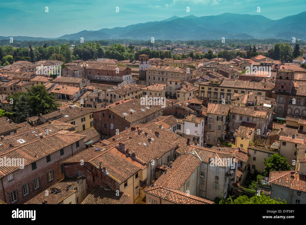 Ancient town and mountains, Lucca, Italy from Guinigi tower Stock Photo ...