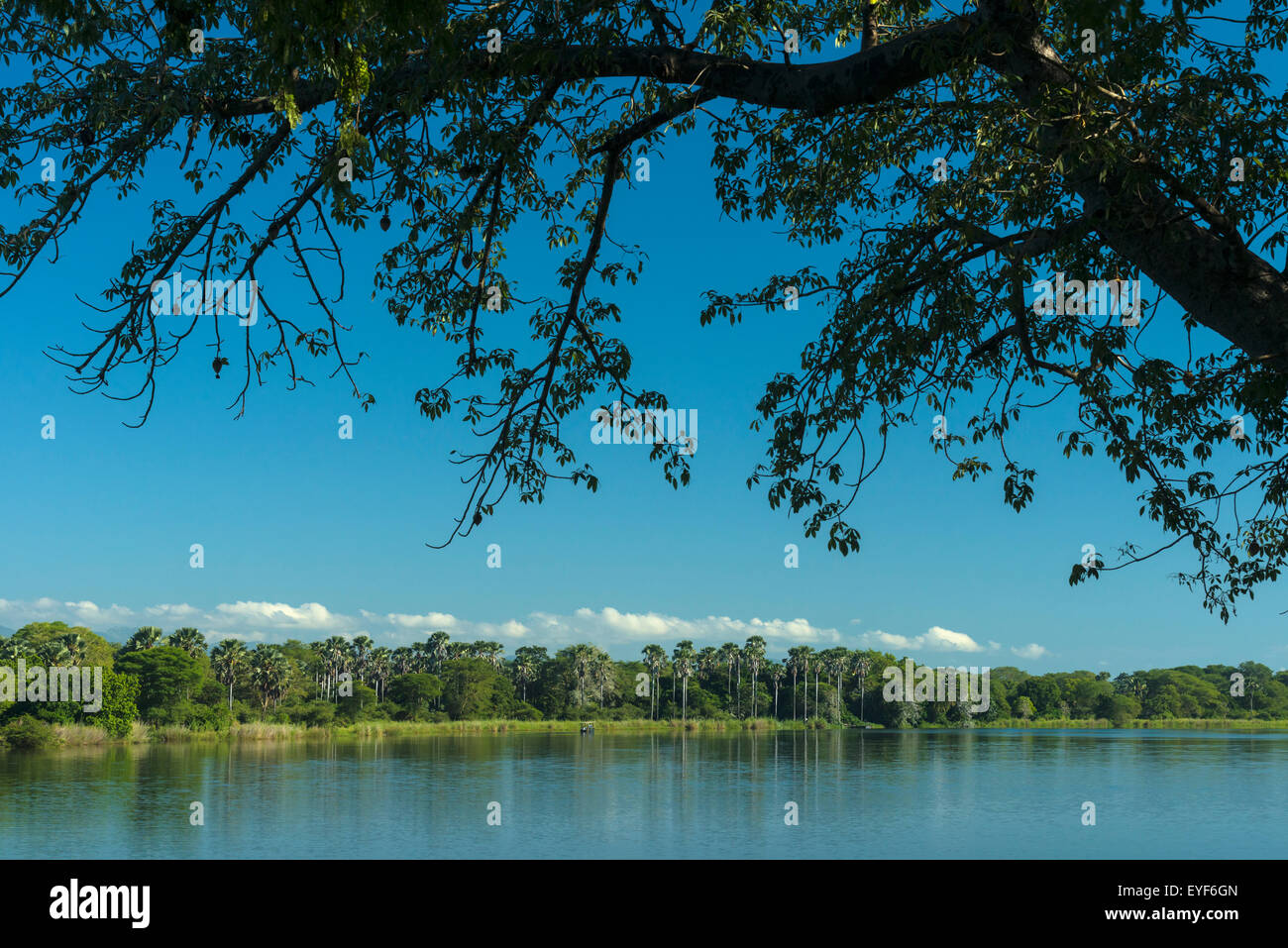 View across the Shire River from Mvuu Camp, Liwonde National Park ...
