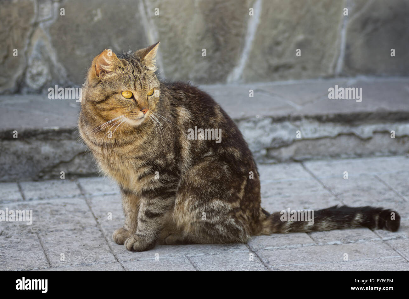 Guarded view hi-res stock photography and images - Alamy