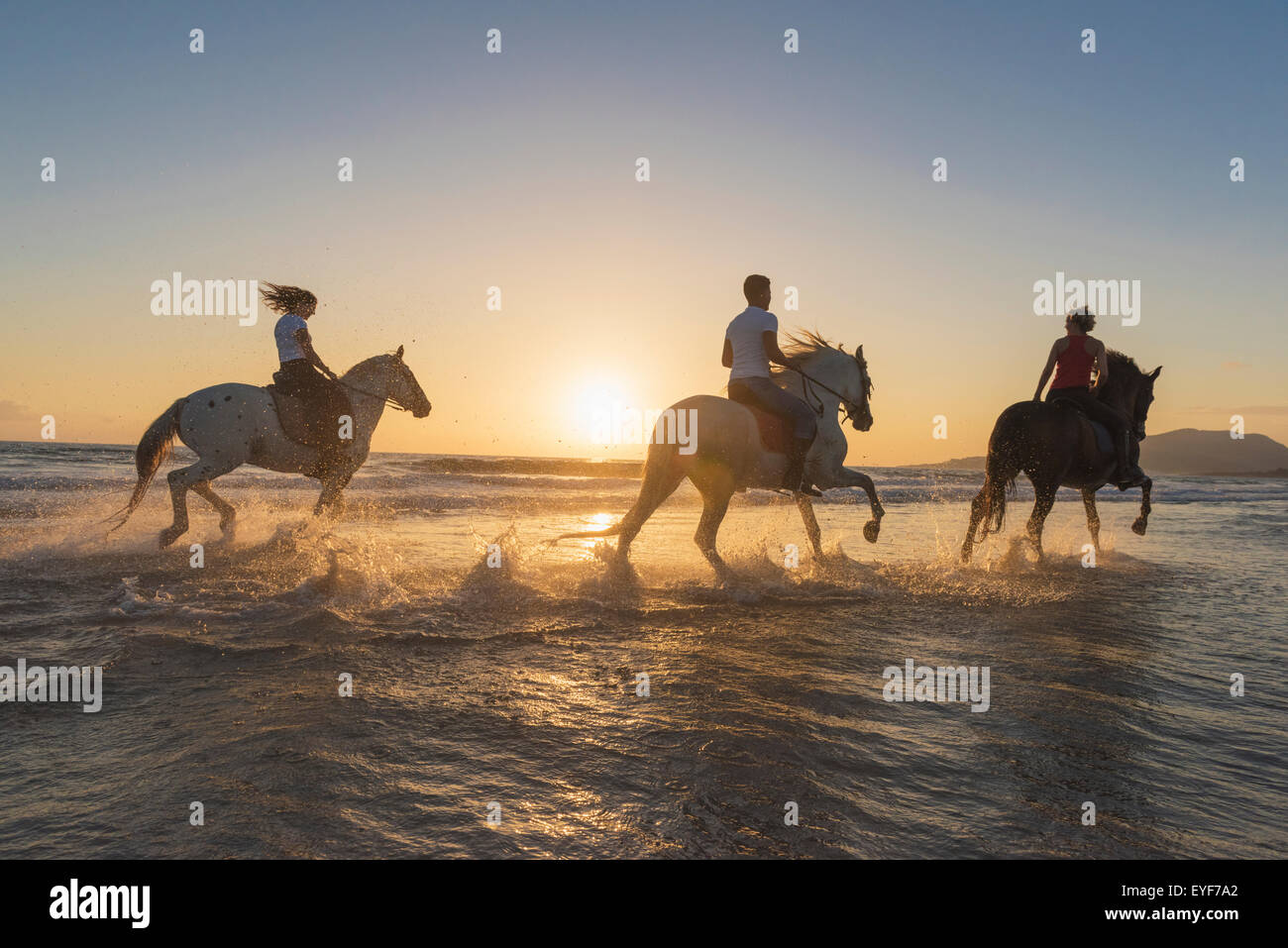Horseback riding in the shallow water at sunset; Tarifa, Cadiz ...