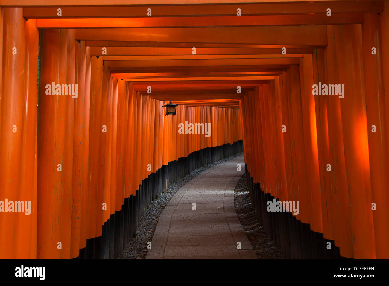 Many tori gates at Fushimi Inari; Kyoto, Japan Stock Photo - Alamy