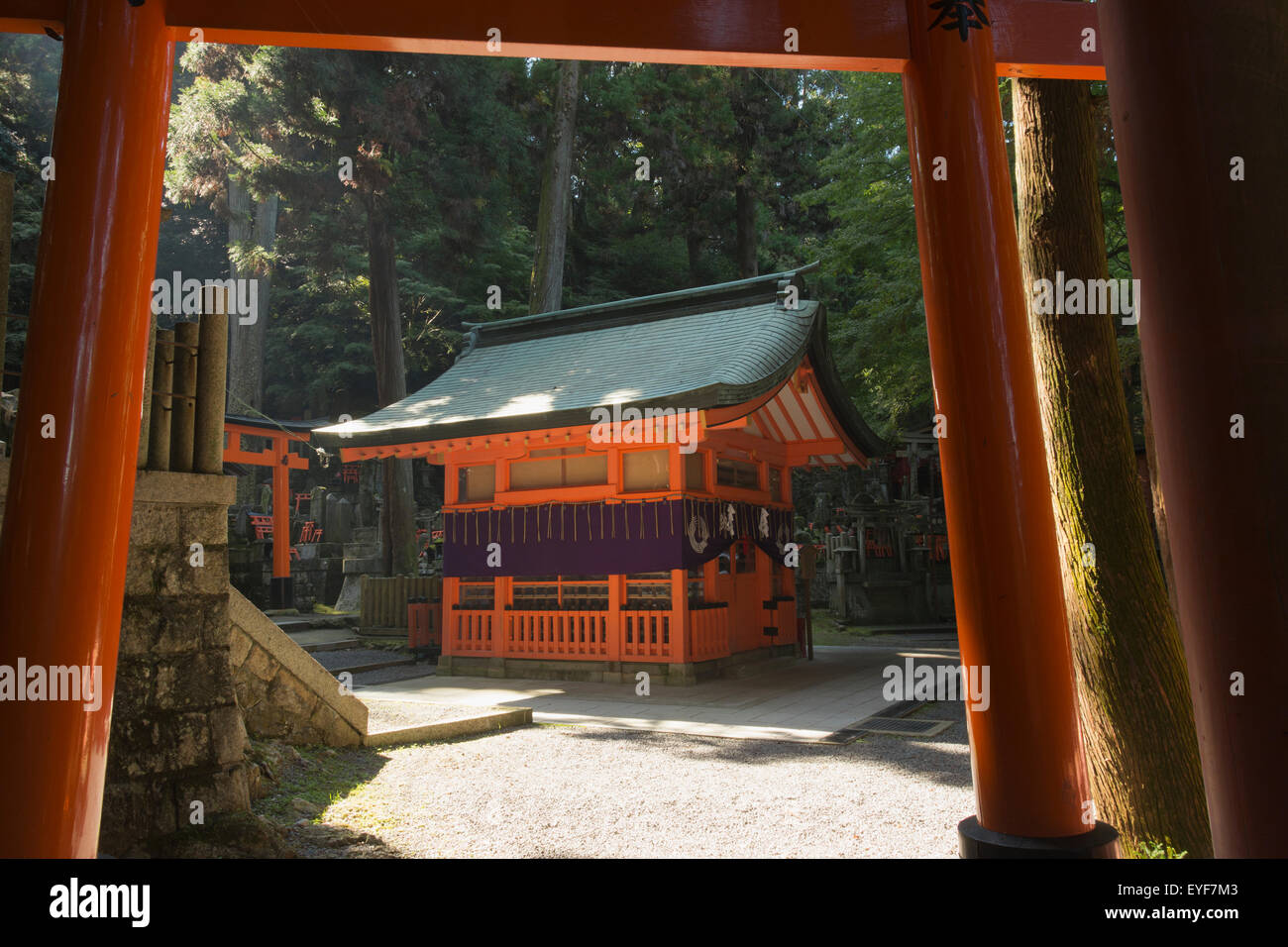 Japanese forest shrine seen through a tori gate; Kyoto, Japan Stock ...