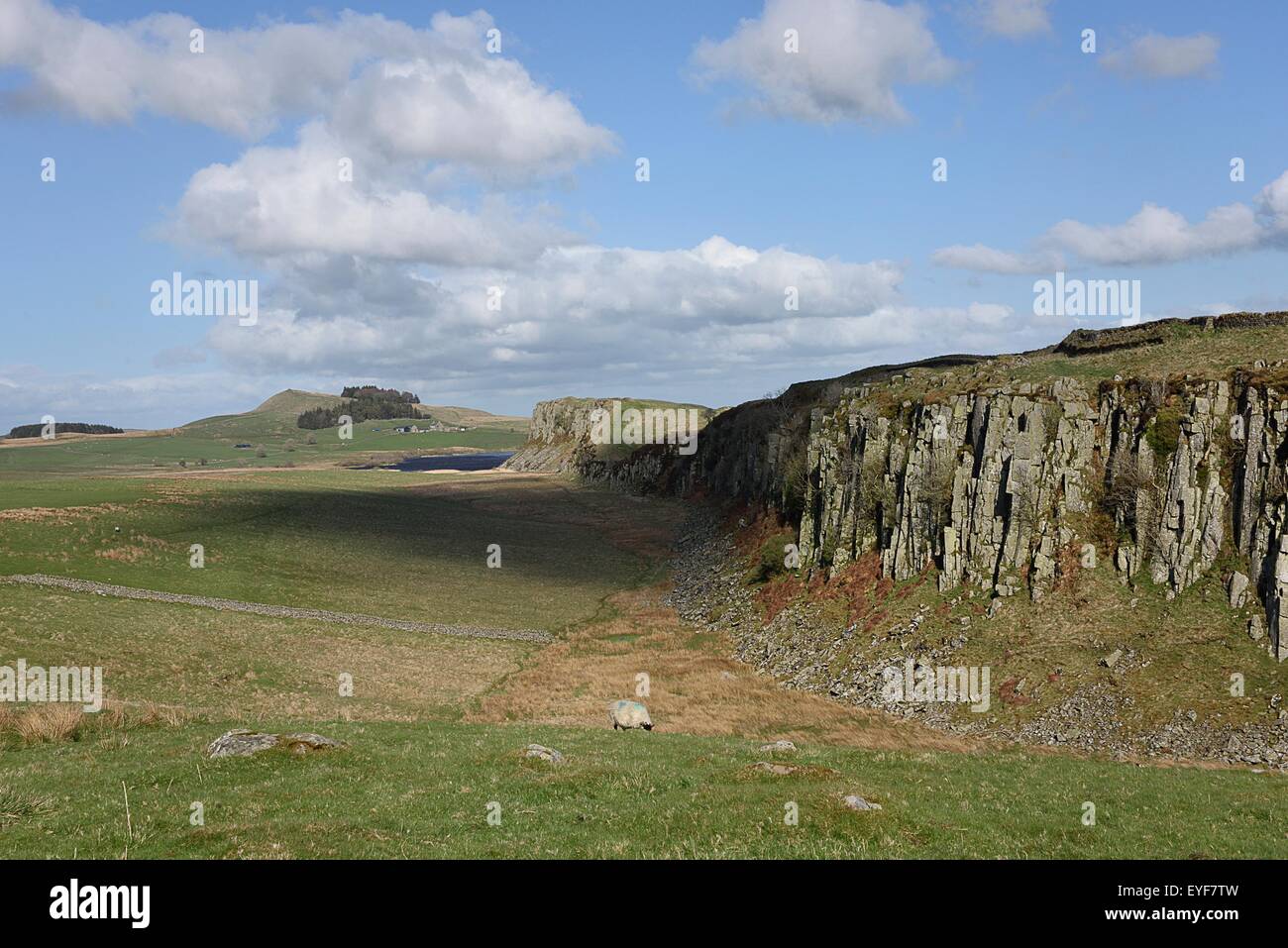 View of Hadrian's Wall from ROMAN VINDOLANDA Fort & Museum Stock Photo ...