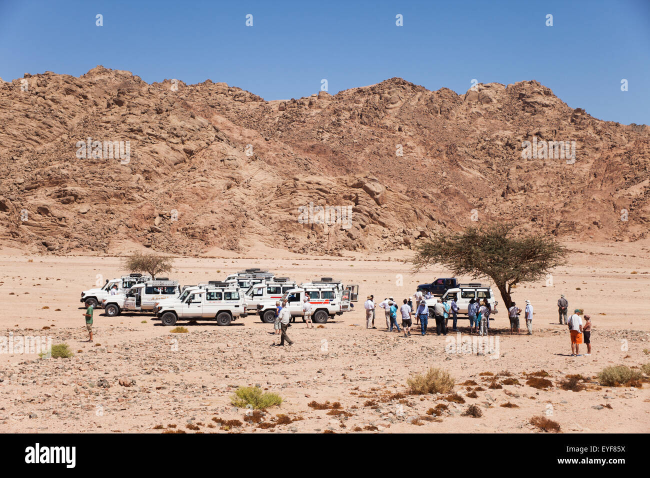Large 4x4 hi-res stock photography and images - Alamy