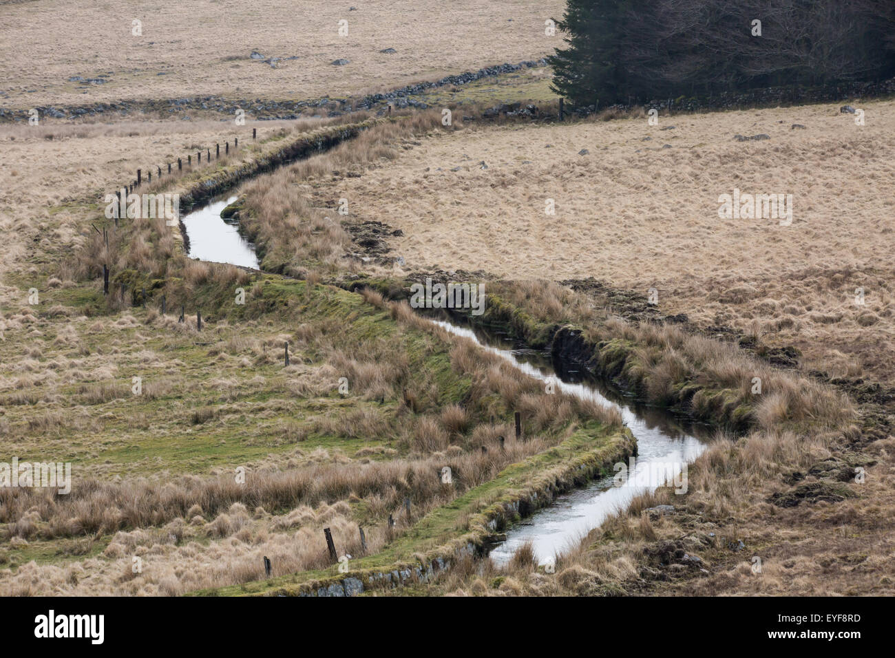 A winding brook on the moors Stock Photo - Alamy