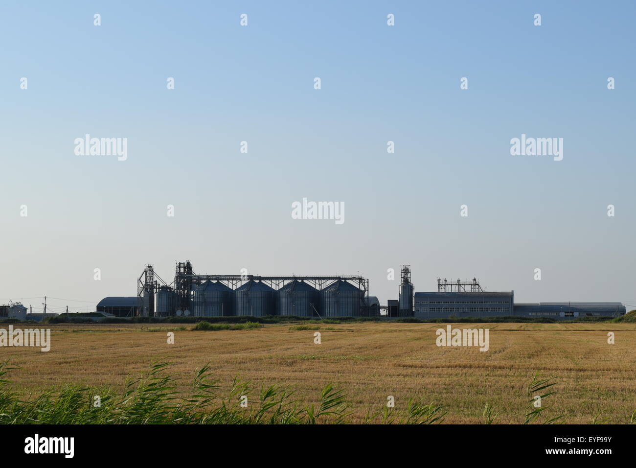 Plant for storage and processing of grain Stock Photo - Alamy