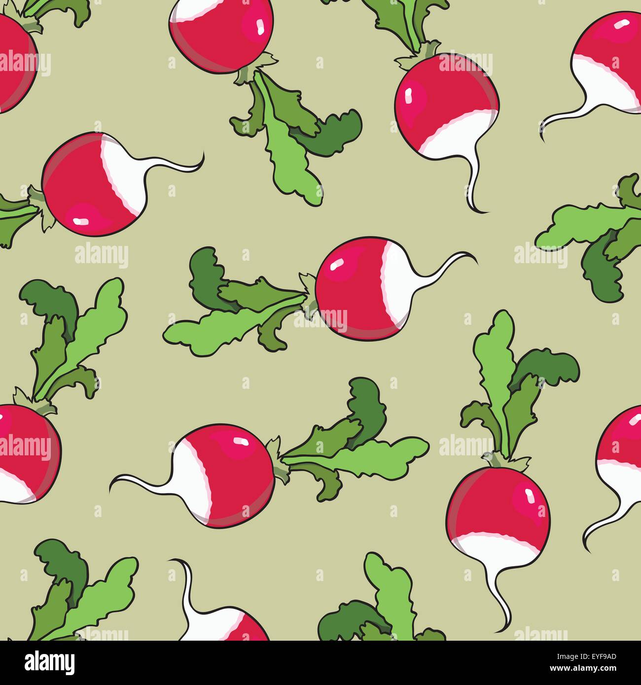 Seamless background with radish Stock Vector Image & Art - Alamy
