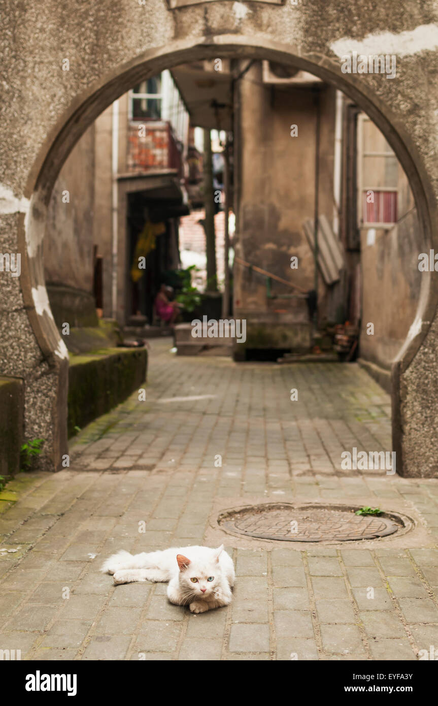 Chinese round door hi-res stock photography and images - Alamy