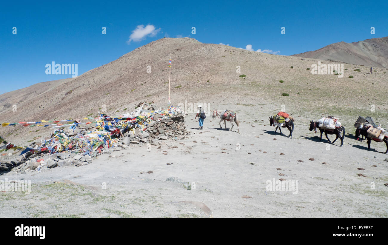 Trekking Over The Ganda La Pass (4900 M) In The Zanskar Range In Ladhak ...