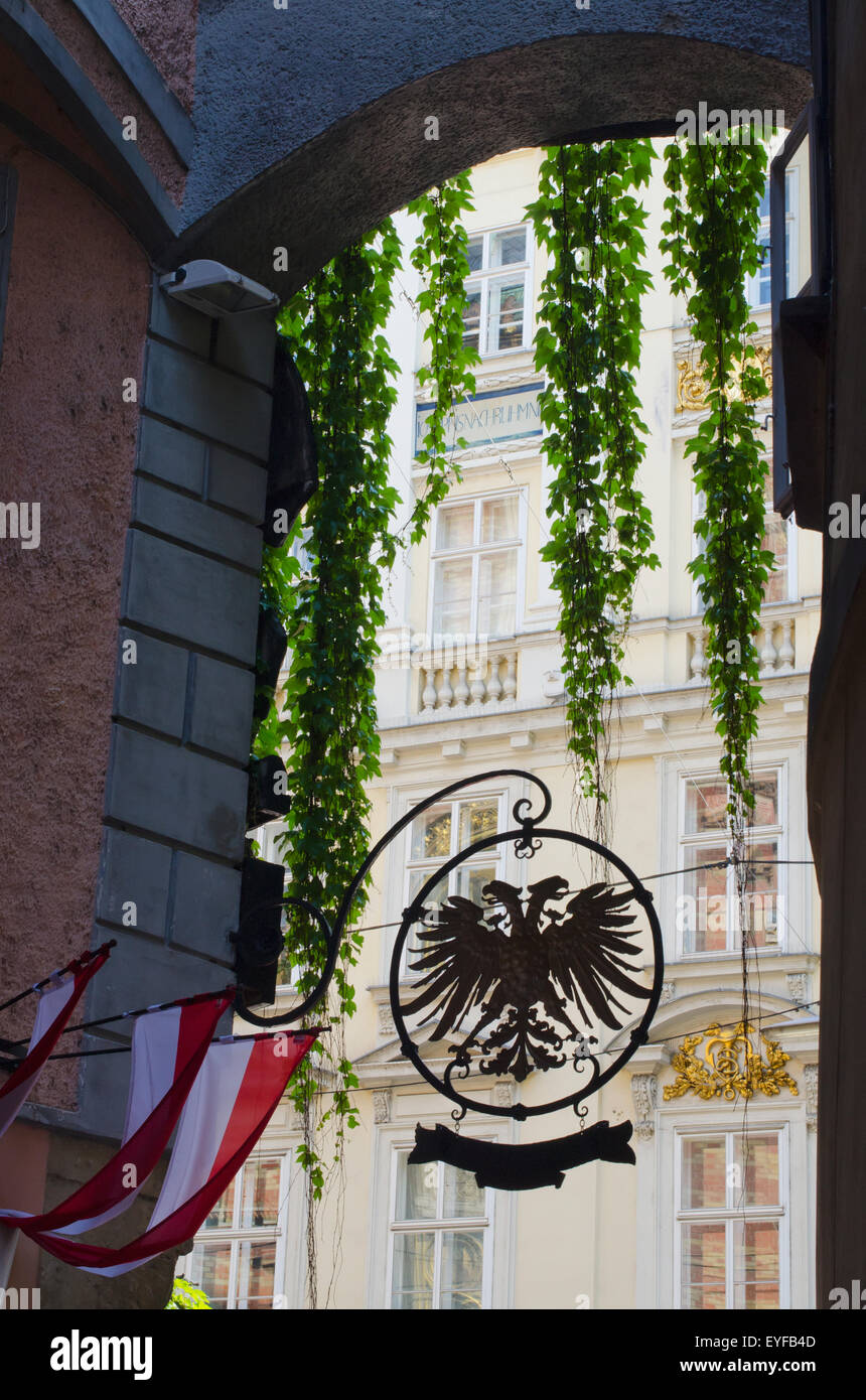 Archway With Austrian Flags, Austrian Eagle And Descending Plants ...
