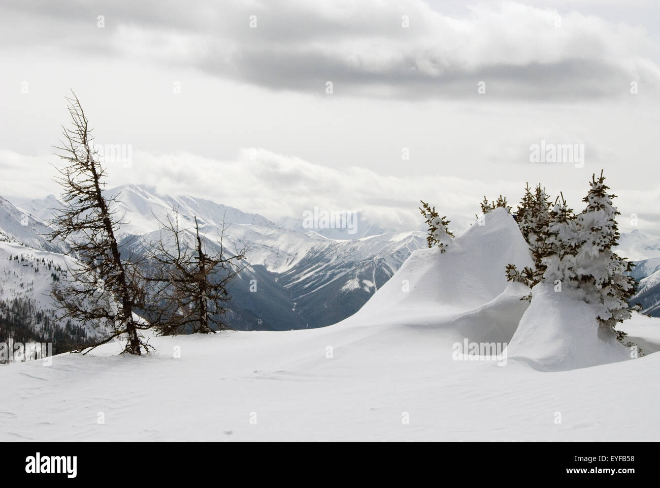Winter Scene At Sunshine Ski Resort In The Canadian Rockies, Banff ...