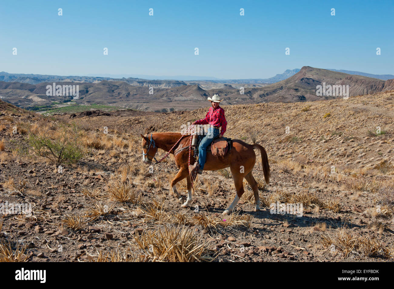 USA, Men horseback riding among desert landscape; Texas Stock Photo - Alamy