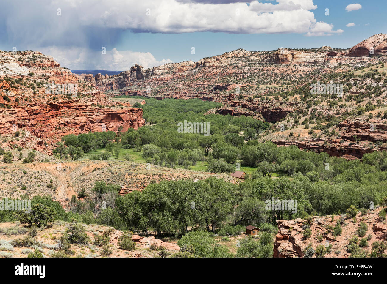 National green hi-res stock photography and images - Alamy