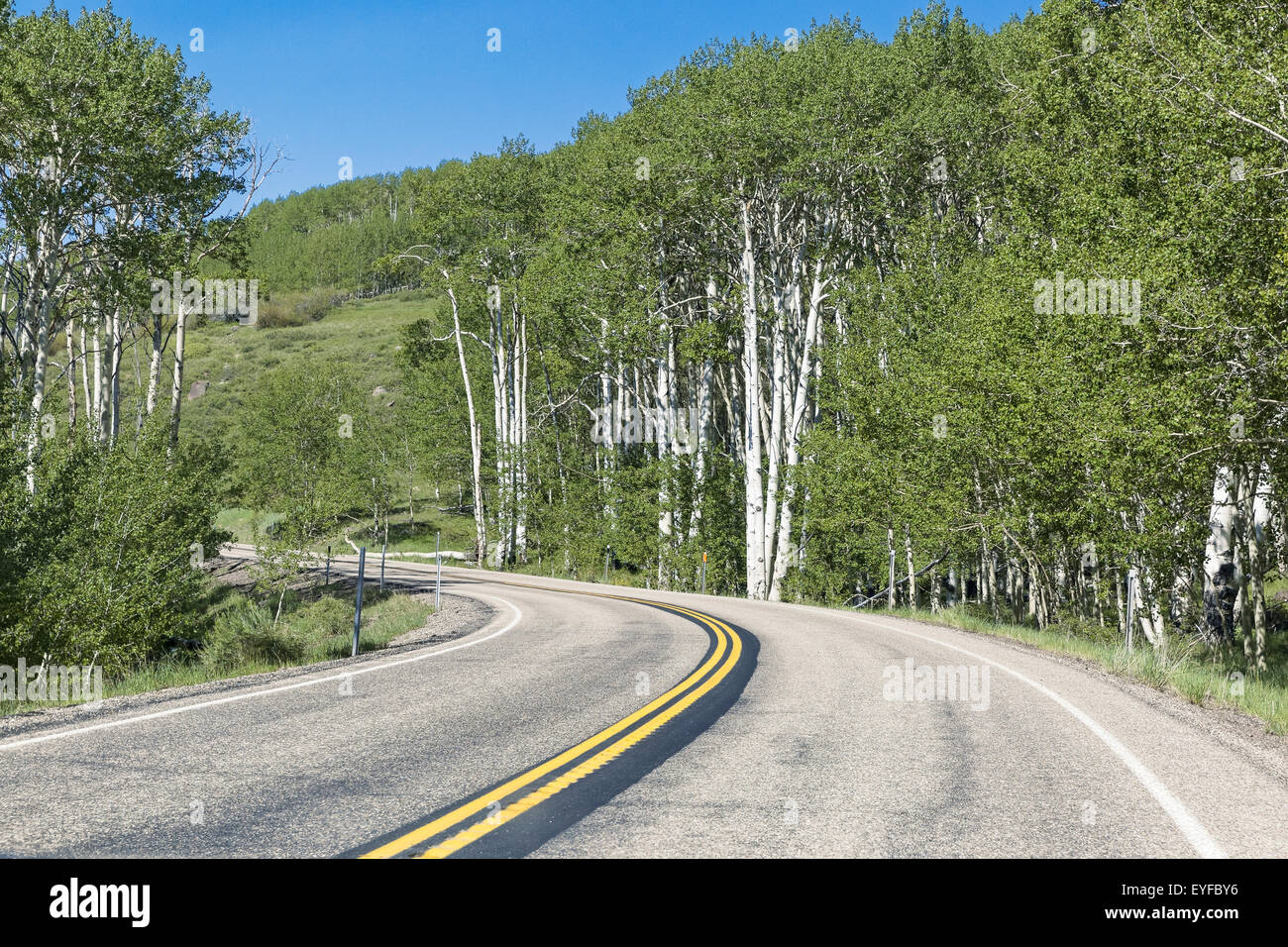 Scenic mountain road Stock Photo - Alamy