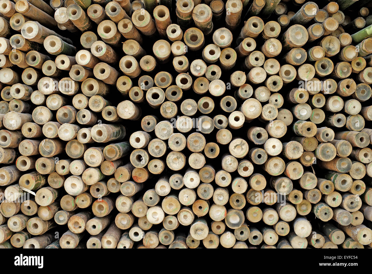 bamboo stack as background or texture Stock Photo - Alamy