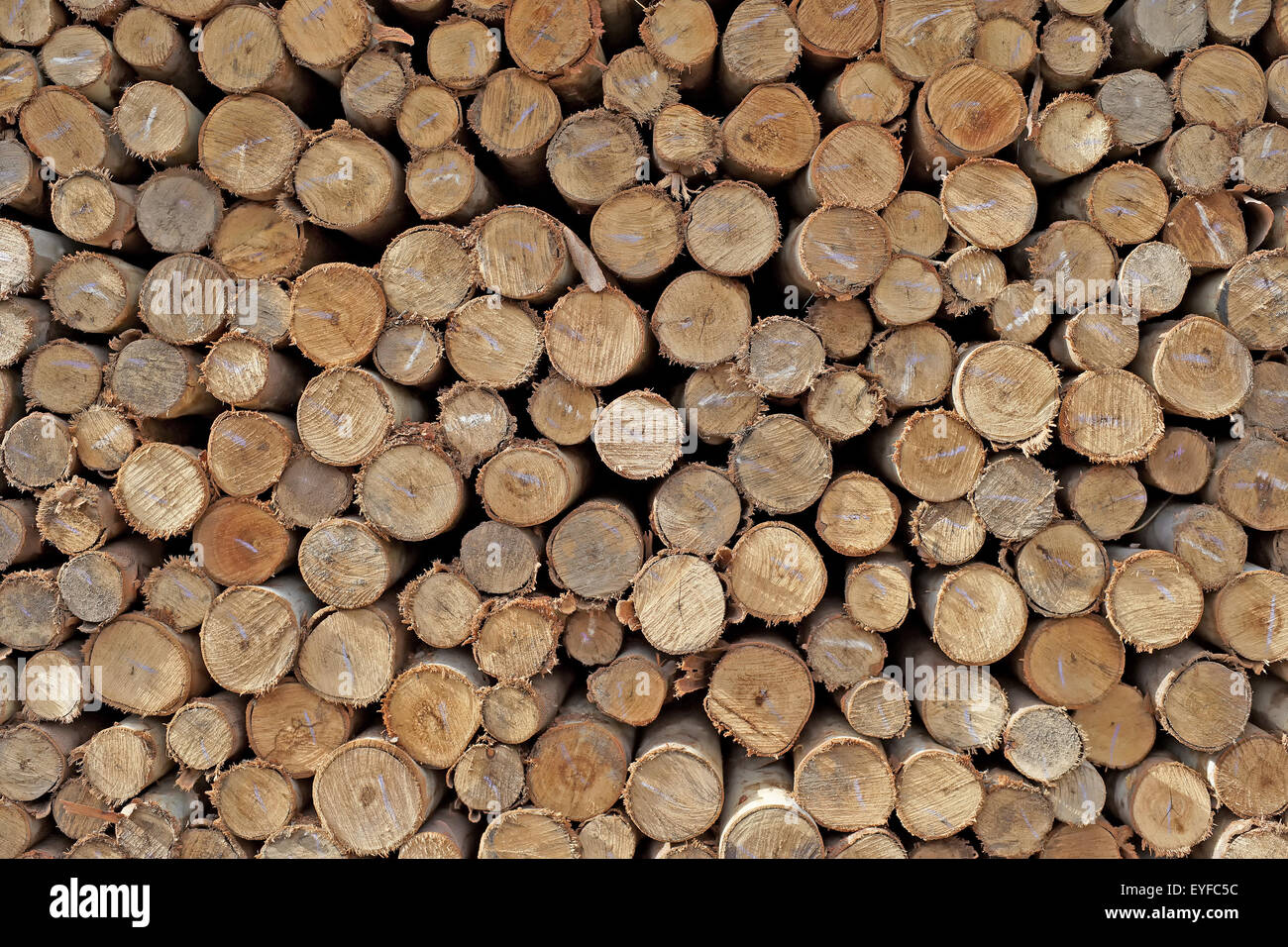 stump stack as background or texture Stock Photo - Alamy