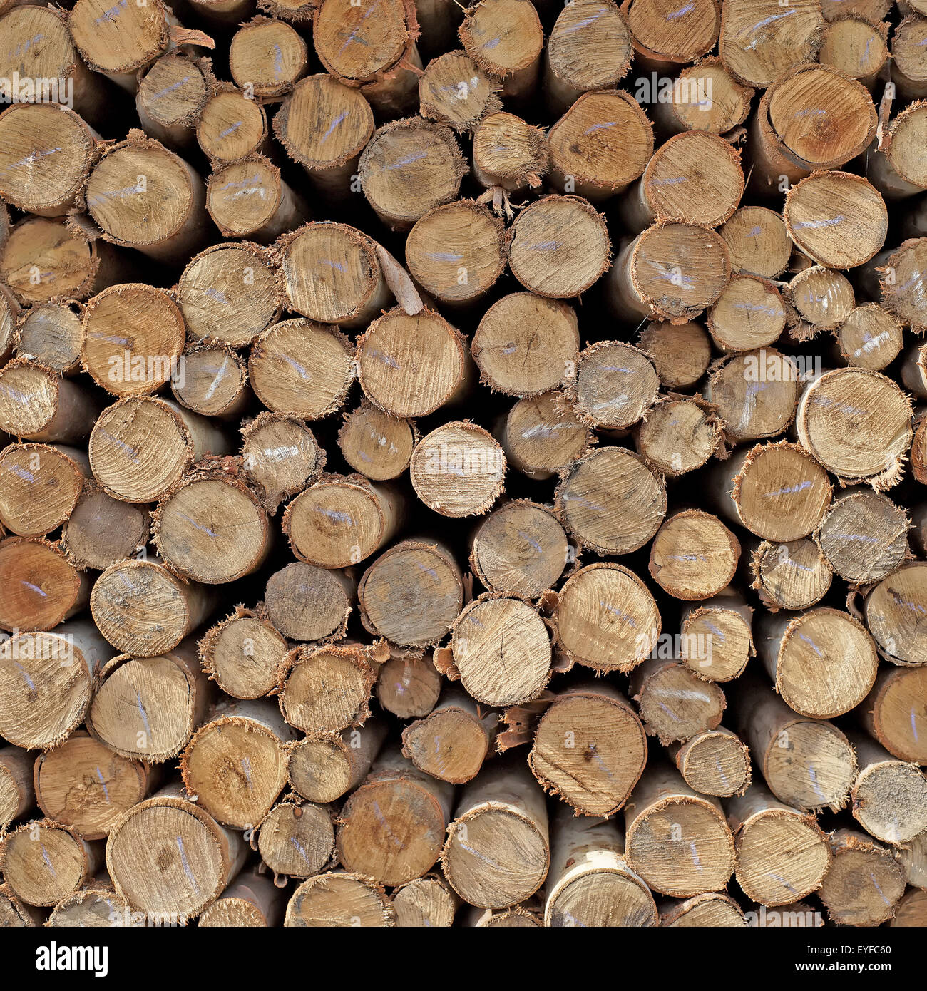 stump stack as background or texture Stock Photo - Alamy