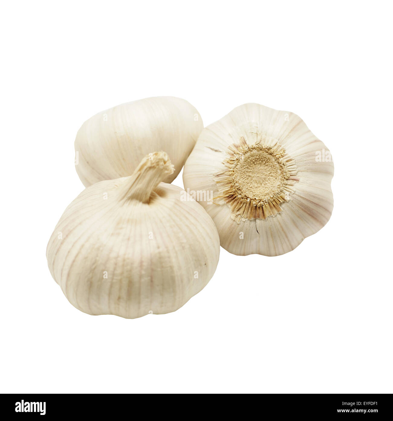 garlic isolated on white background Stock Photo - Alamy