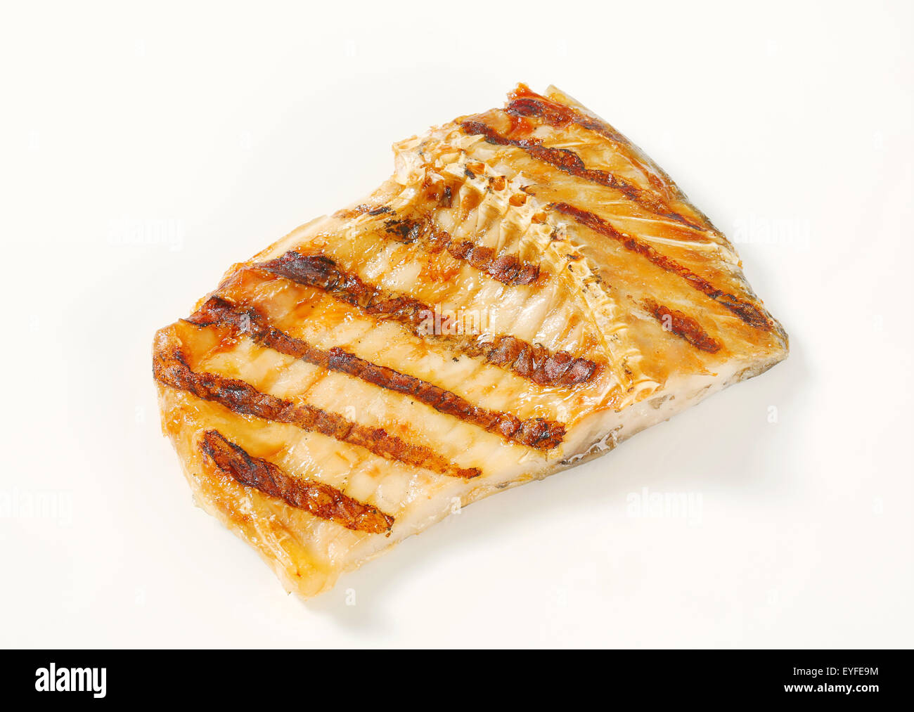 Grilled carp fillet - studio shot Stock Photo - Alamy