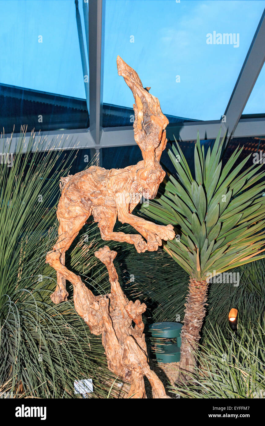 Rabbit shaped wood in the Mediterranean climate Flower Dome garden at ...