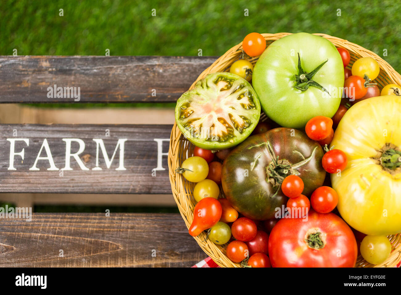 Freshly picked heirloom tomatoes from the backyard farm Stock Photo - Alamy