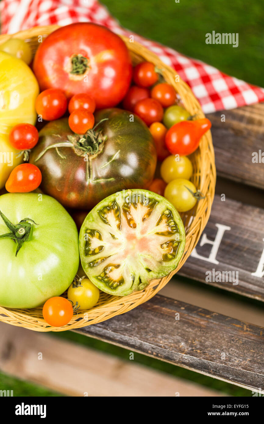 Freshly picked heirloom tomatoes from the backyard farm Stock Photo - Alamy