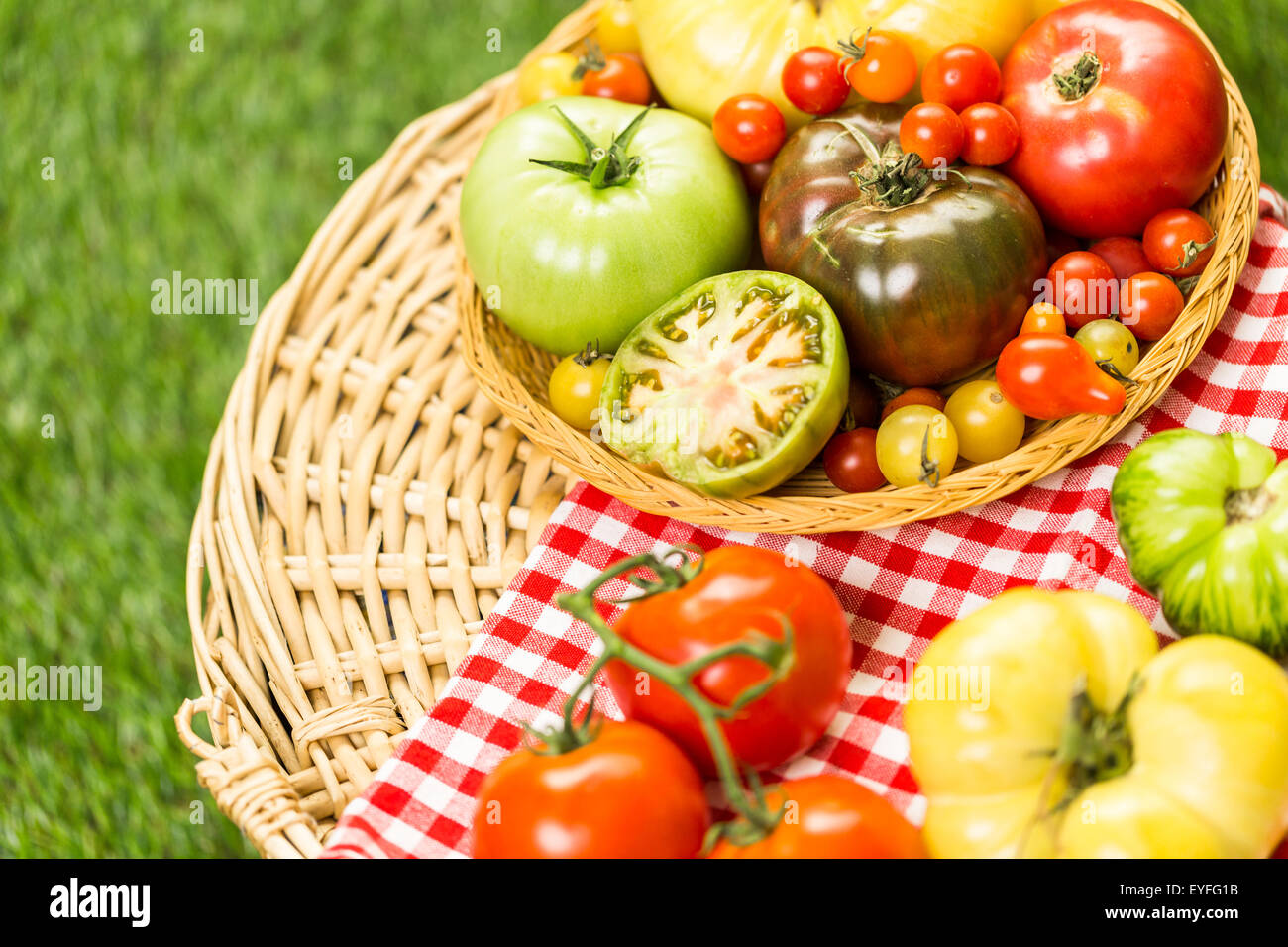 Freshly picked heirloom tomatoes from the backyard farm Stock Photo - Alamy