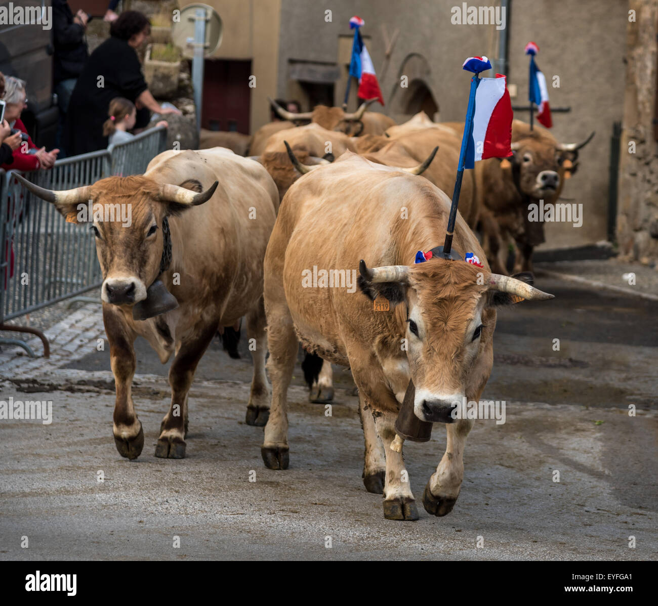 Summer festival france hi-res stock photography and images - Alamy