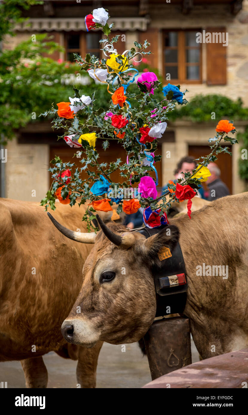 France r lot st come dolt transhumance hi-res stock photography and ...