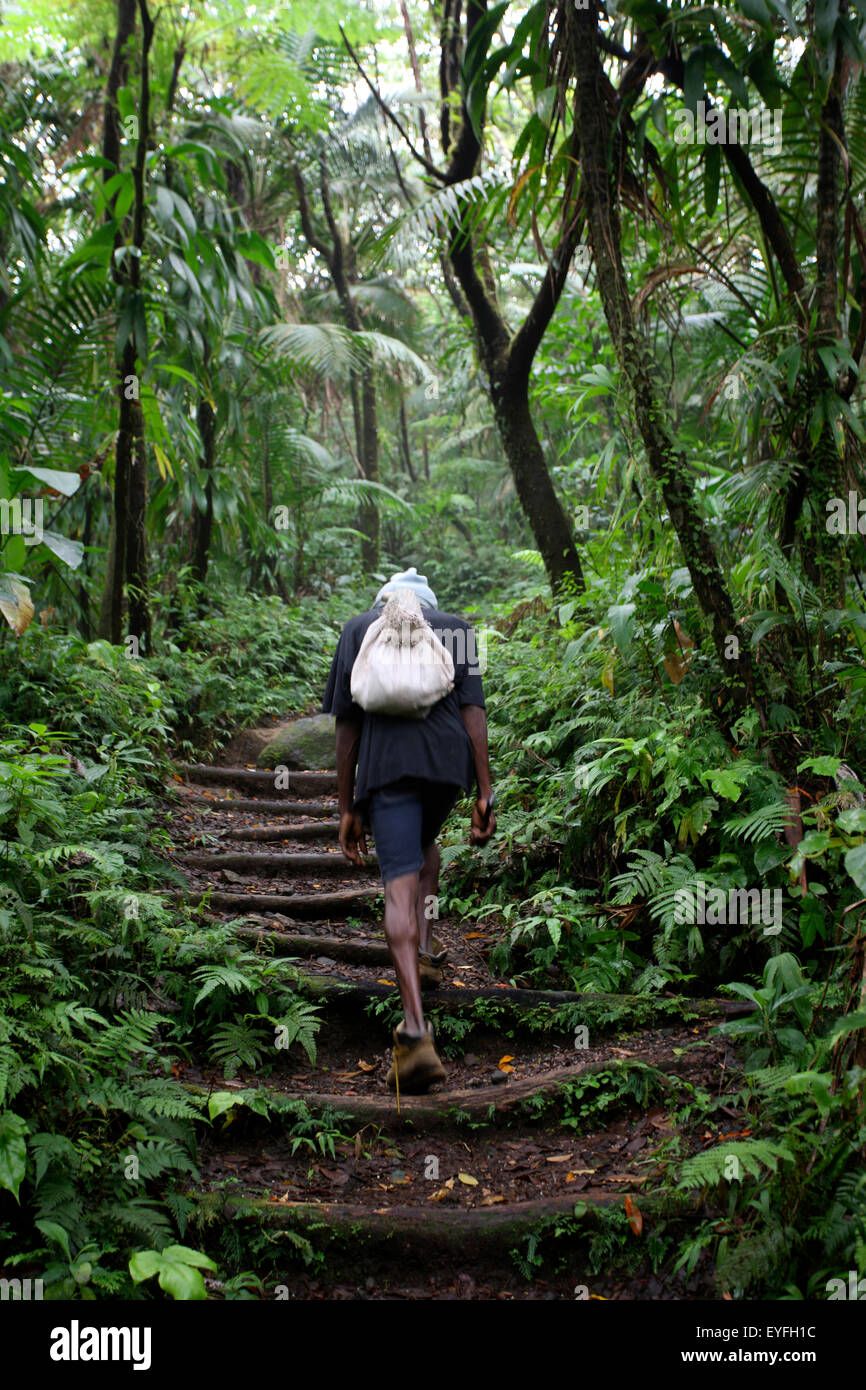 Saint vincent volcano hi-res stock photography and images - Alamy