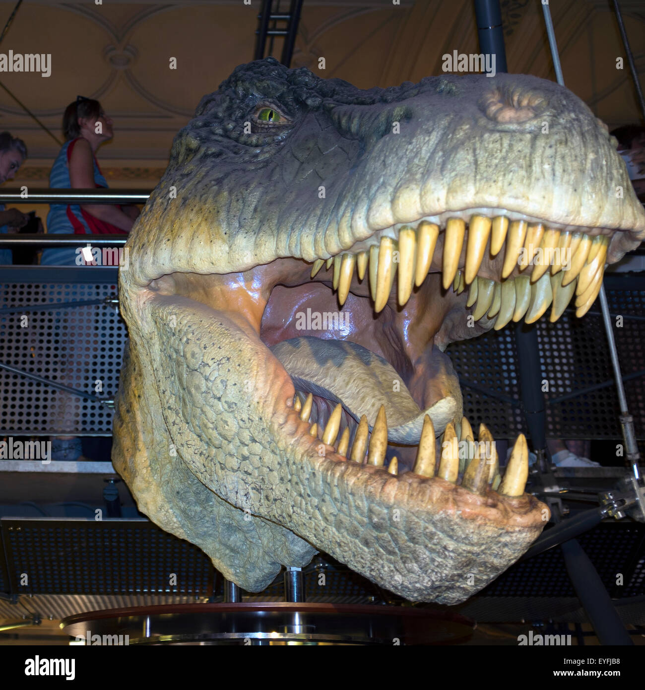 History museum london tyrannosaurus rex hi-res stock photography and ...